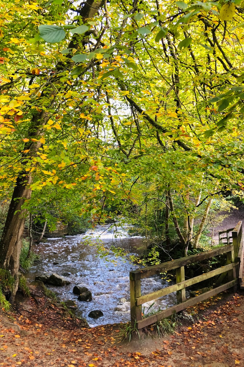 Winner Our Countryside Pauline Eccles. May Beck, Falling Foss – SRMRT